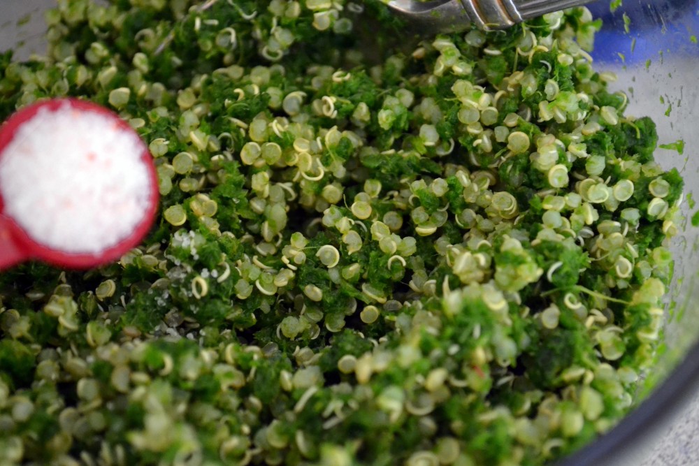Quinoa-Kale Green “Fish” Sticks – good gruel