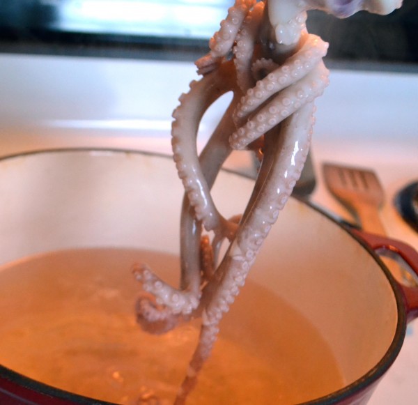 Tender Octopus with Orange Butter Sauce – good gruel