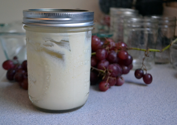 How to Prep for Daily Budwig Protocol Creamy Muesli – good gruel